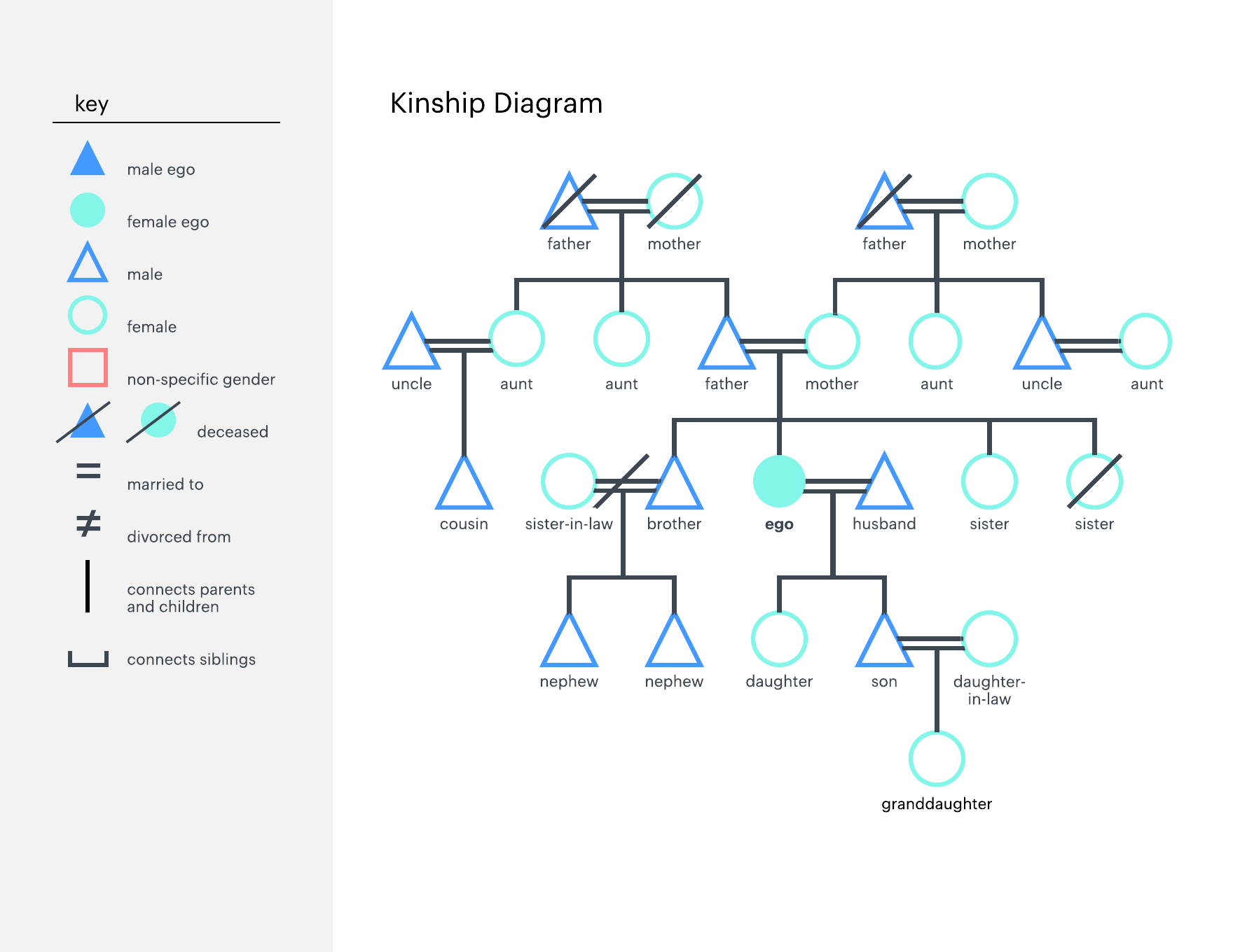 Kinship diagram example Program In Islamic Law Kinship diagram example Program In Islamic Law